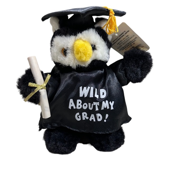 Dan Dee | Party Supplies | Dan Dee Collectors Choice Wild About My Grad ...